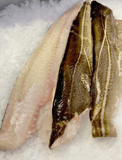 Mexican Fish Tacos – Marisco Fish Ltd Cornwalls finest seafoods