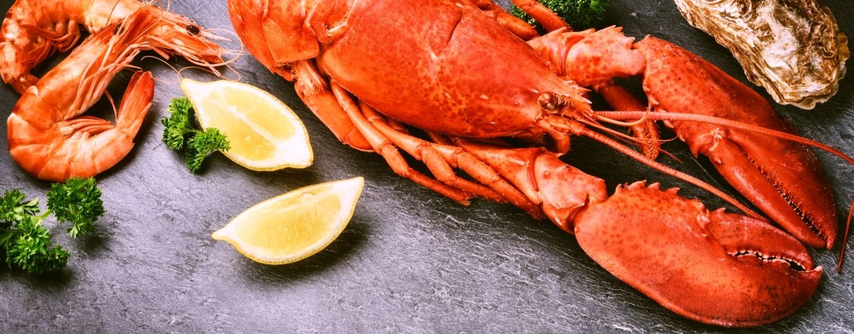 Marisco Fish Ltd - Cornwall's Finest Seafood – Marisco Fish Ltd ...