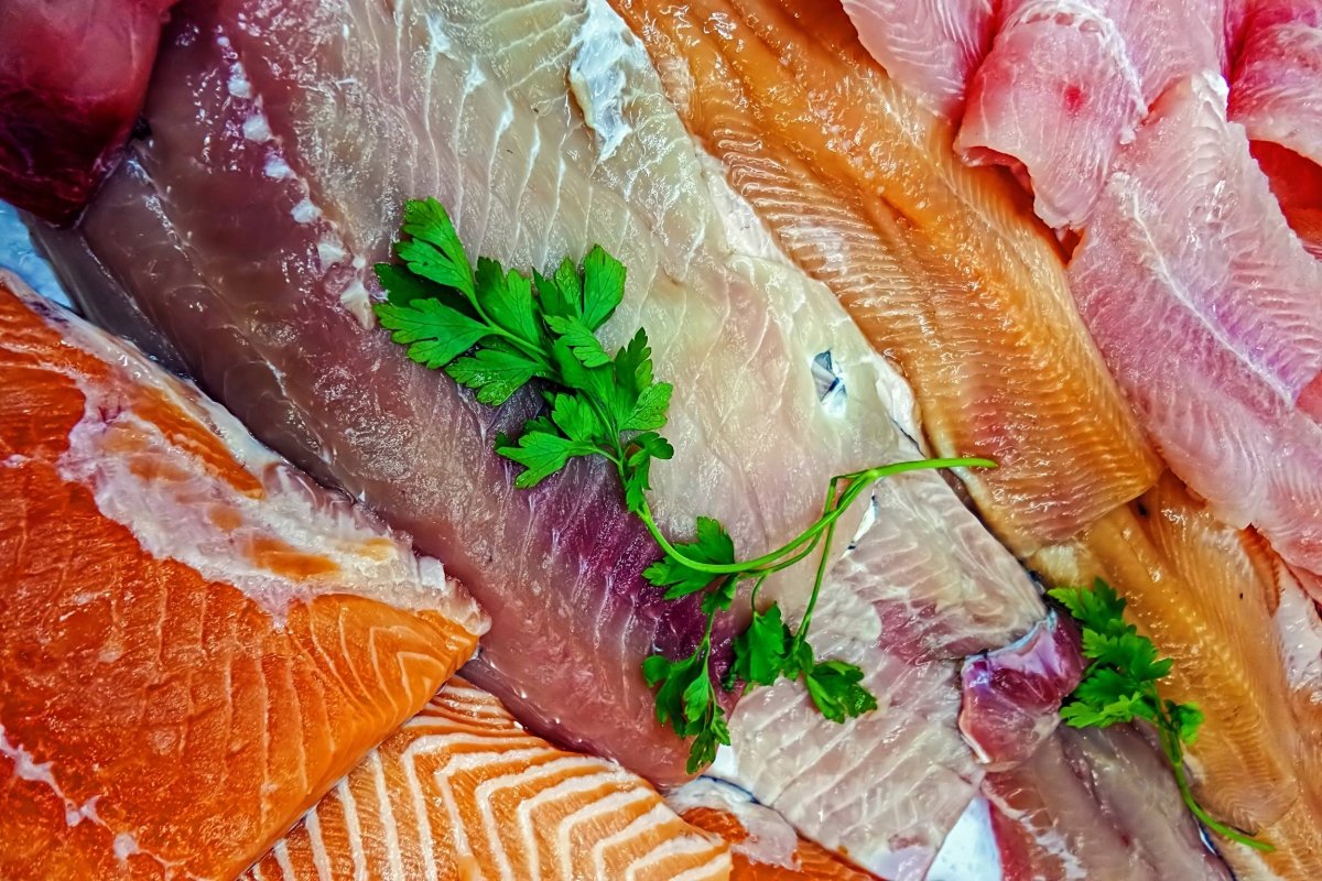 Boneless Hand-Picked Fish Hampers - Marisco Fish Cornwall – Marisco ...