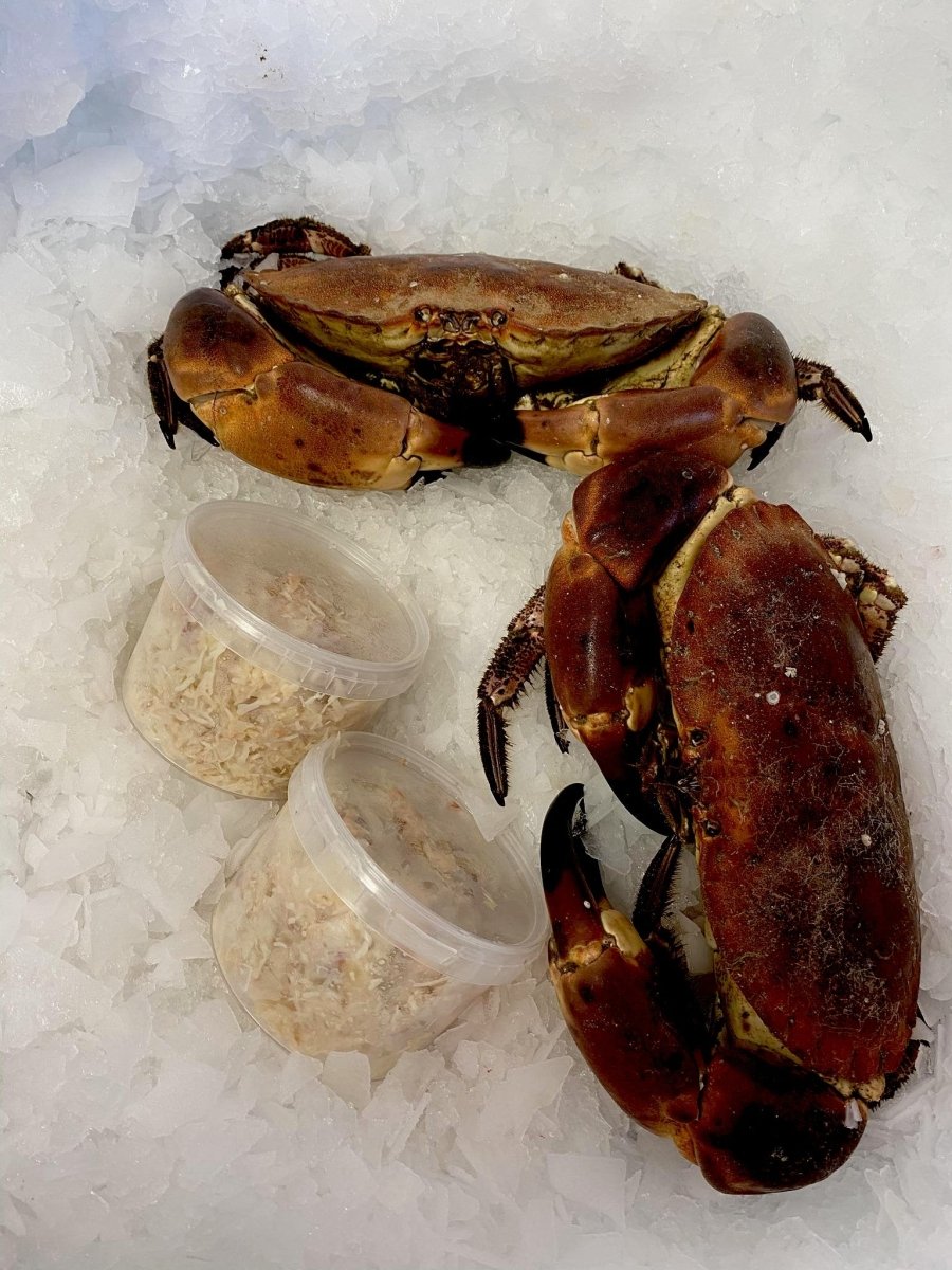 Live Cornish Crab | Marisco Fish Ltd – Marisco Fish Ltd Cornwalls ...