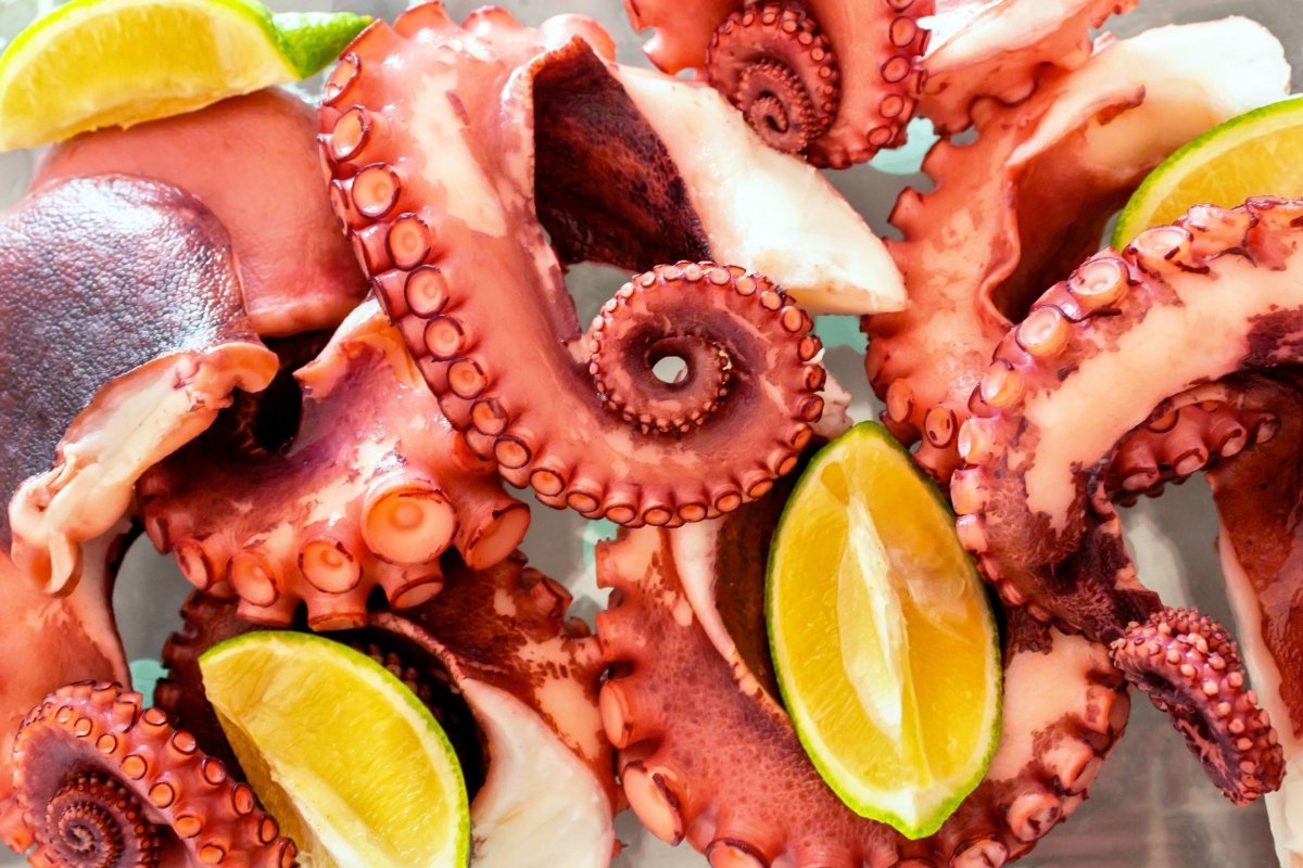 Mediterranean Octopus Legs - Marisco Fish Cornwall – Marisco Fish Ltd ...