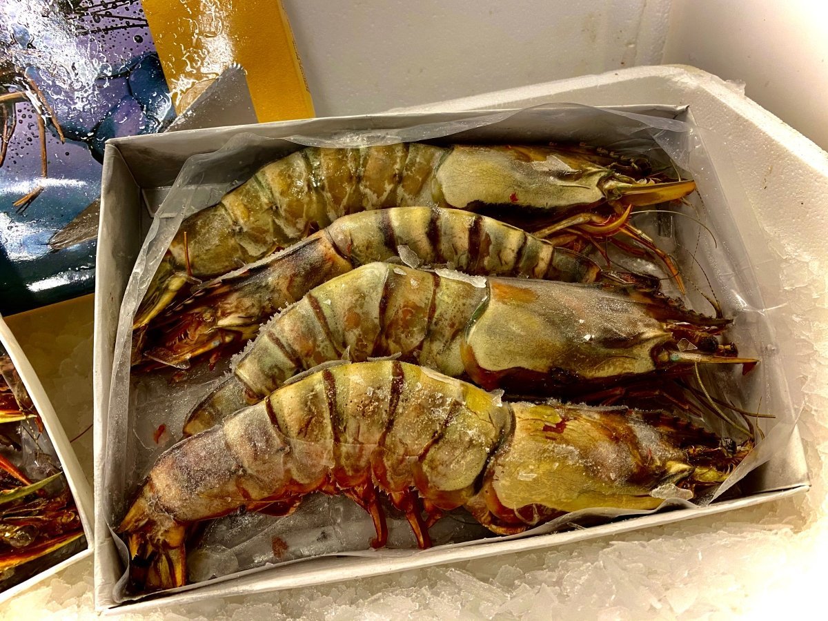Royal Gold Wild Large King Prawns - Marisco Fish Cornwall – Marisco ...